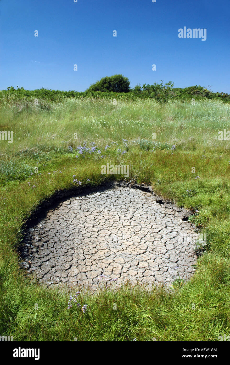 Low lying marsh hi-res stock photography and images - Alamy
