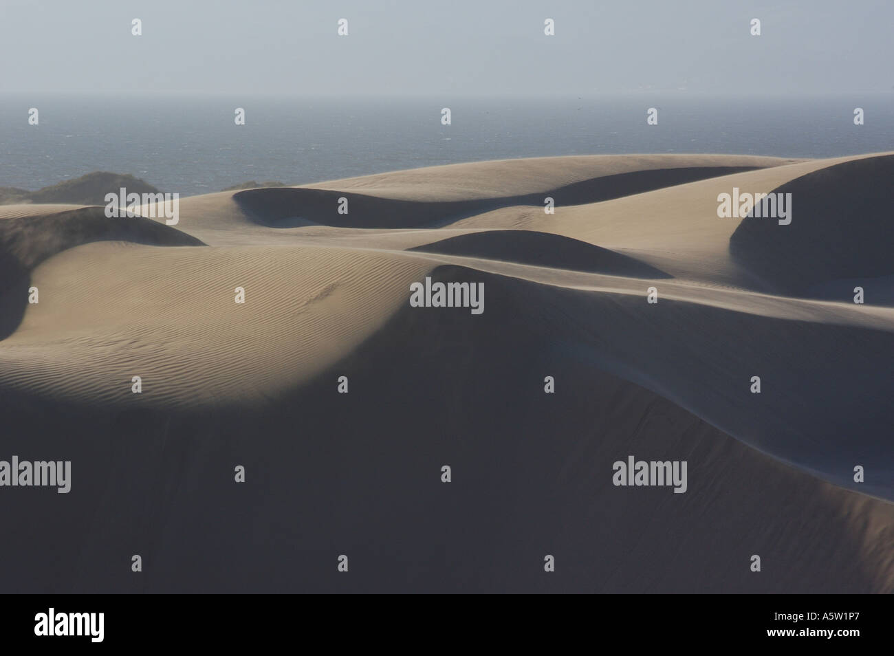 Oceano Sand Dunes Stock Photo - Alamy