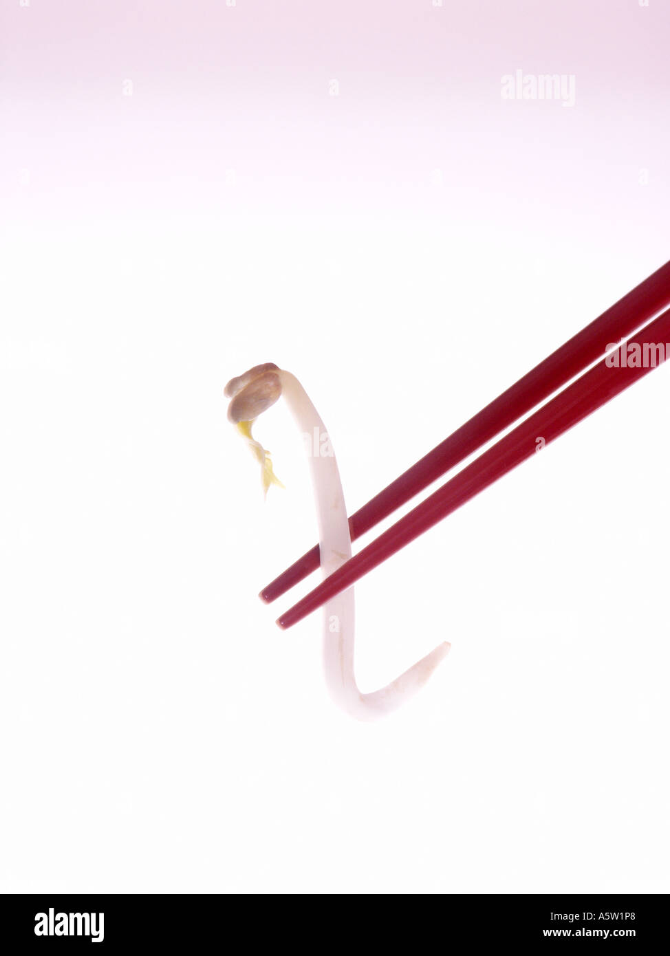 Red chopsticks holding a single bean sprout Stock Photo - Alamy