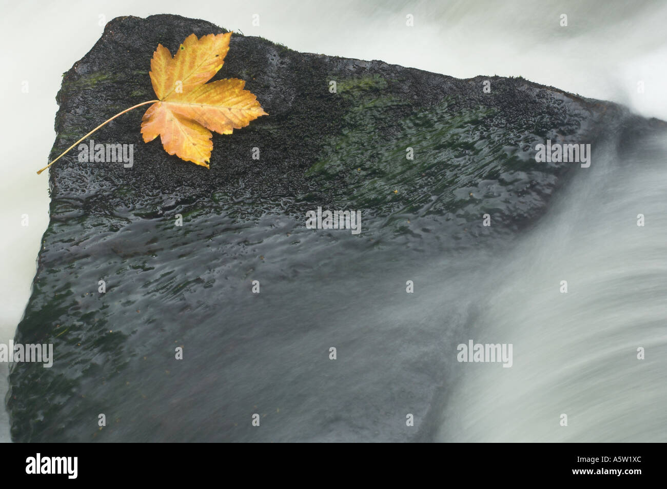 Autumn waterfall landscapes hi-res stock photography and images - Alamy