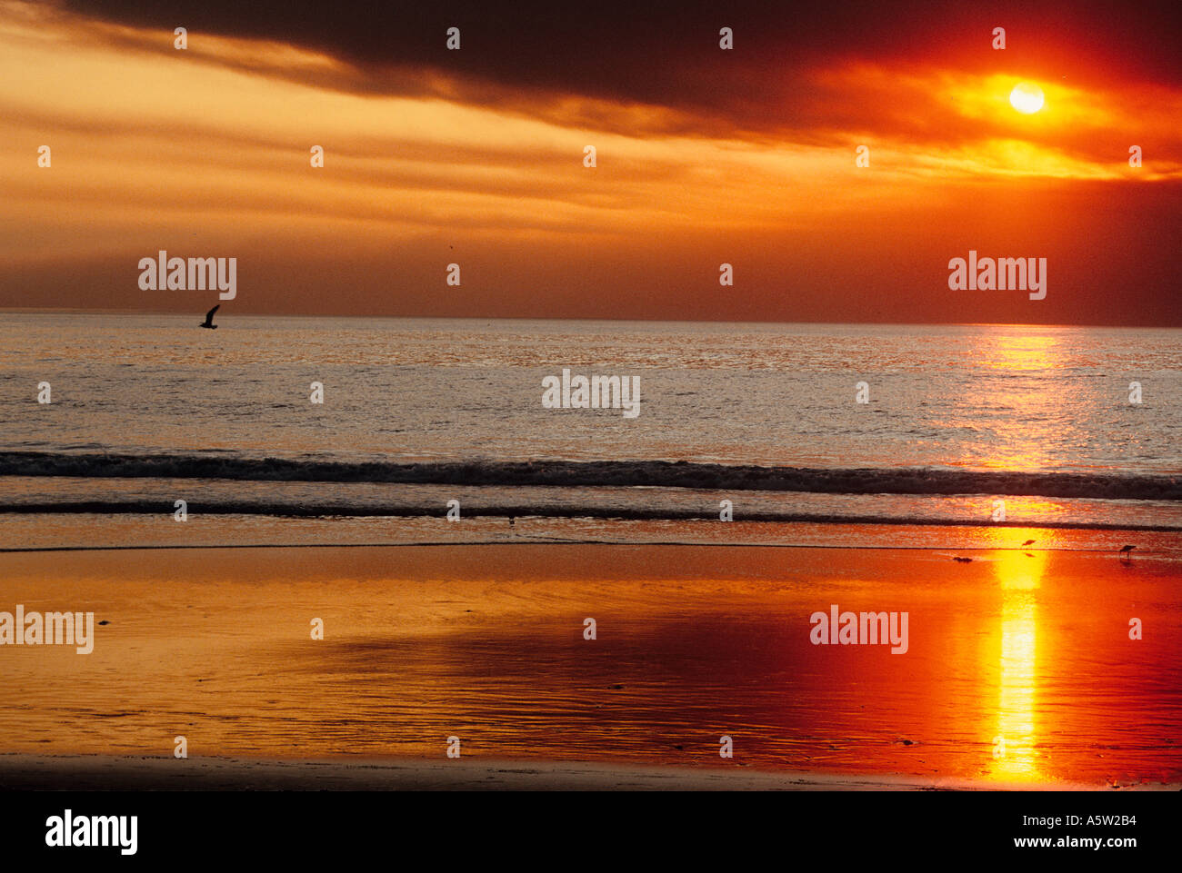 sunset at the beach Stock Photo - Alamy