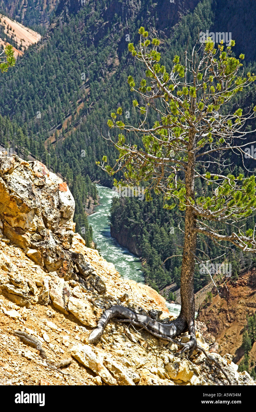 Inspiration point yellowstone hi-res stock photography and images - Alamy