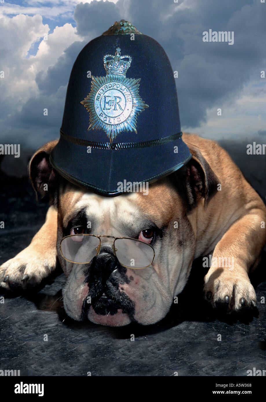 British bulldog hat hi-res stock photography and images - Alamy