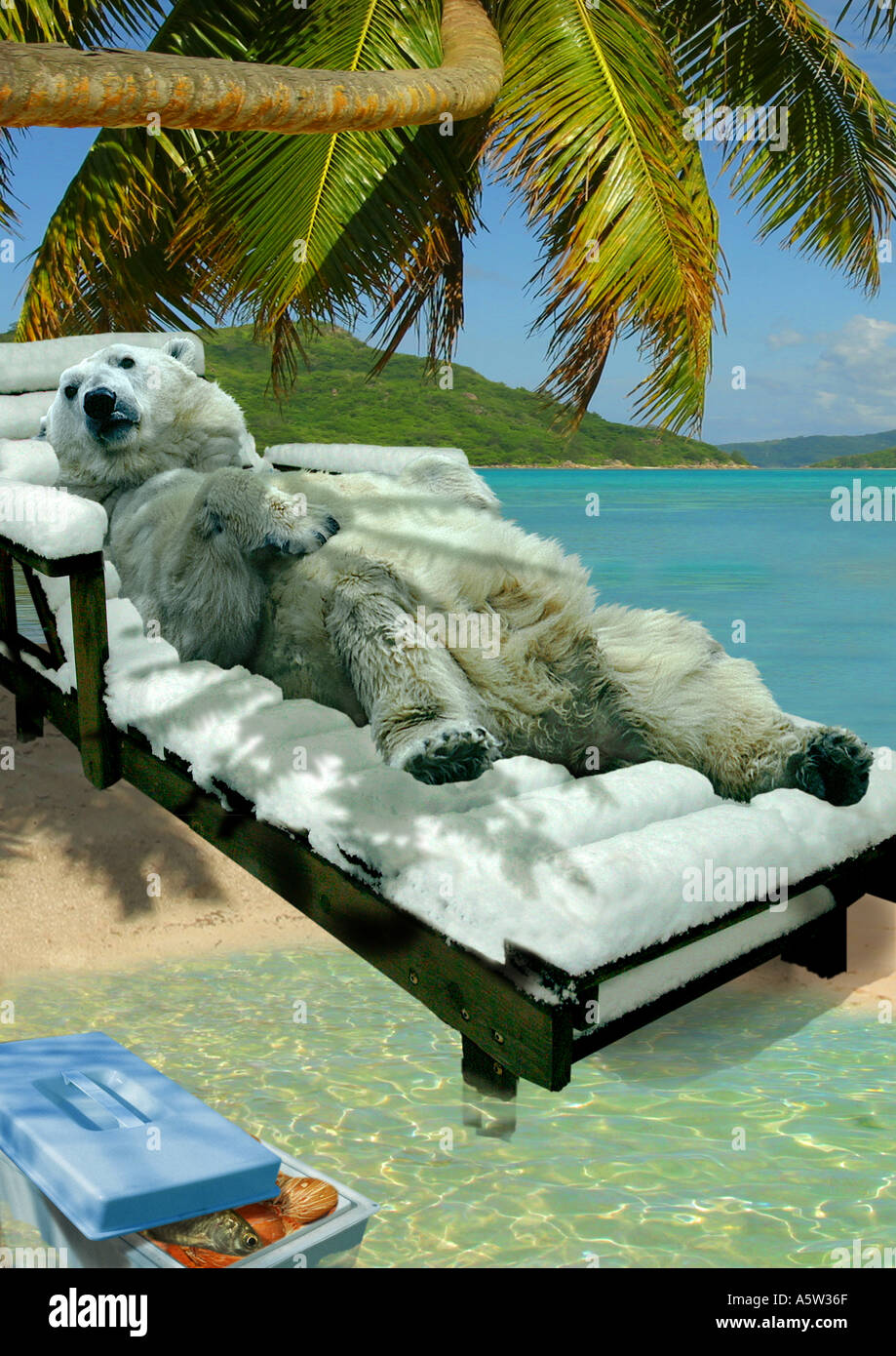 polar bear on deck chair on the beach / Ursus maritimus Stock Photo - Alamy