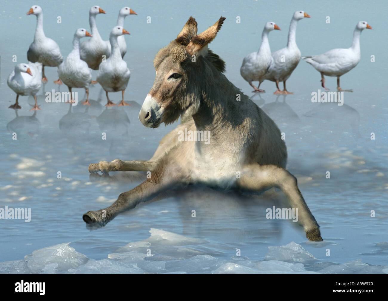 Slipped on ice hi-res stock photography and images - Alamy