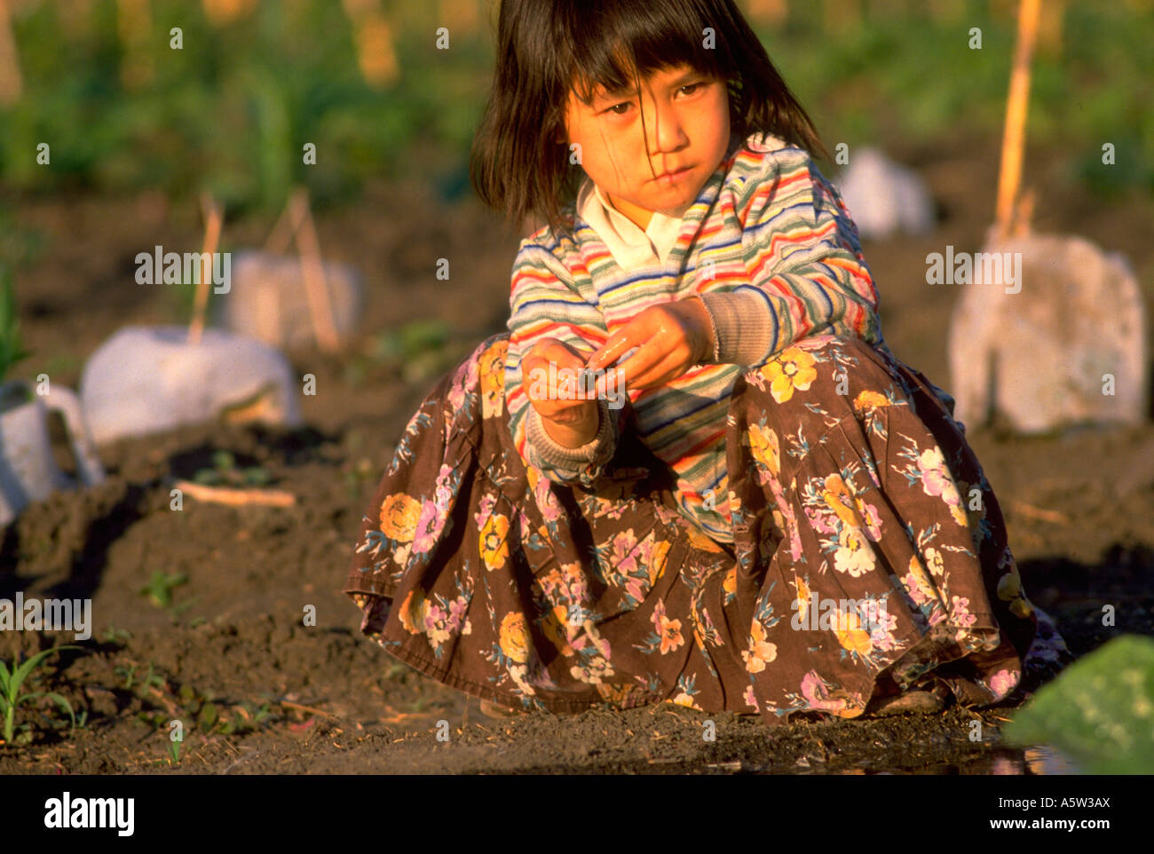 Hmong american family hi-res stock photography and images - Alamy