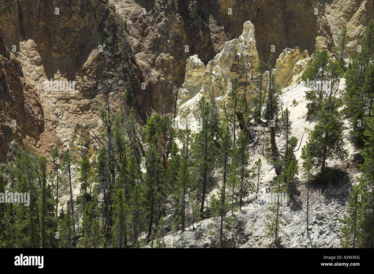 Inspiration Point, Yellowstone Stock Photo - Alamy