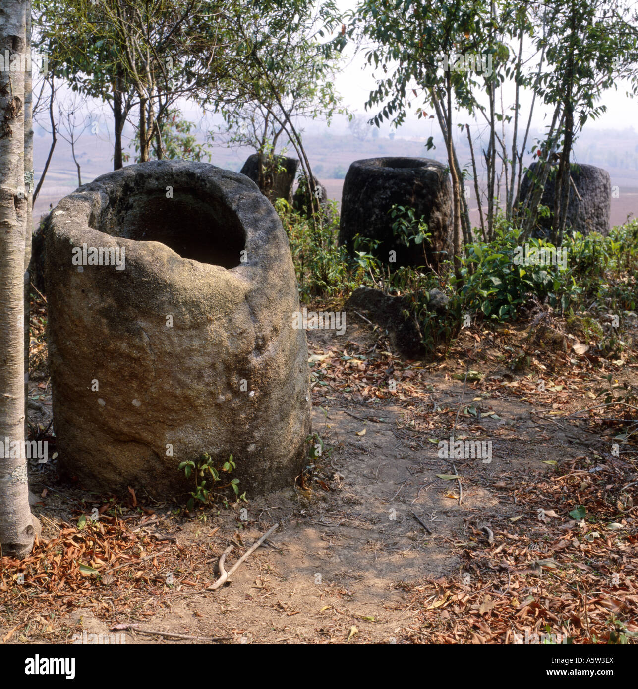 some of the many stone jars on the plain of jars north laos Stock Photo ...