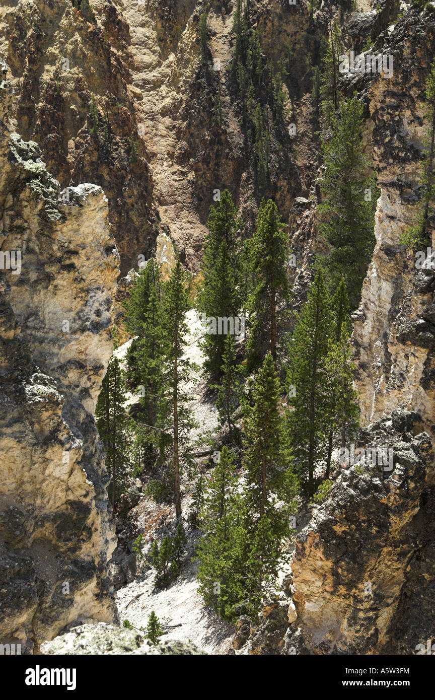 Inspiration Point, Yellowstone Stock Photo - Alamy