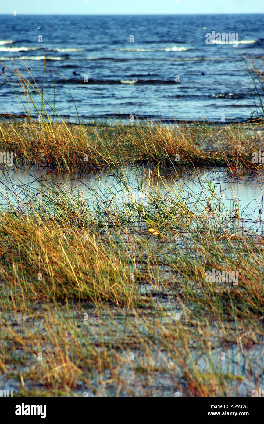 Lake Peipsi in Estonia Stock Photo - Alamy