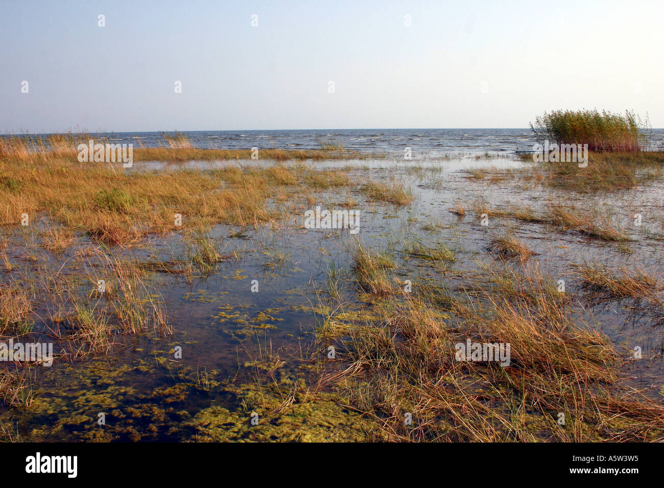 Lake Peipsi in Estonia Stock Photo - Alamy