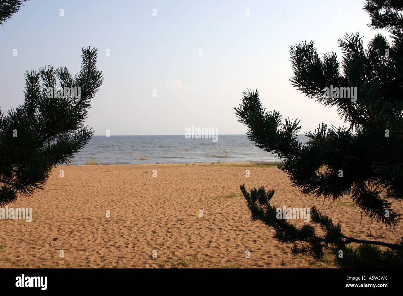 Beach at Lake Peipsi in Estonia Stock Photo - Alamy