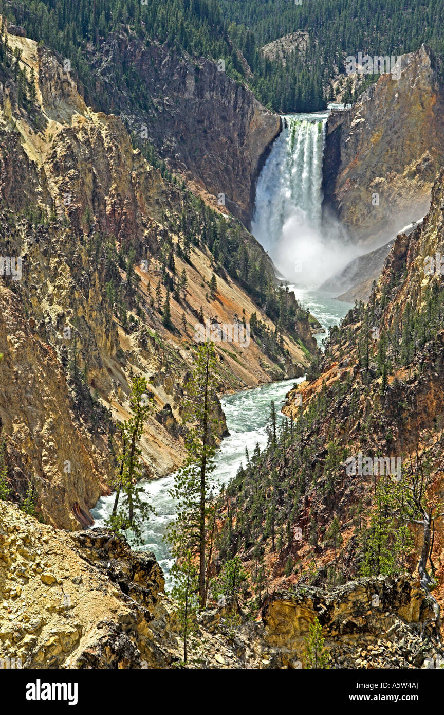 Lower Falls,Yellowstone National Park Stock Photo - Alamy