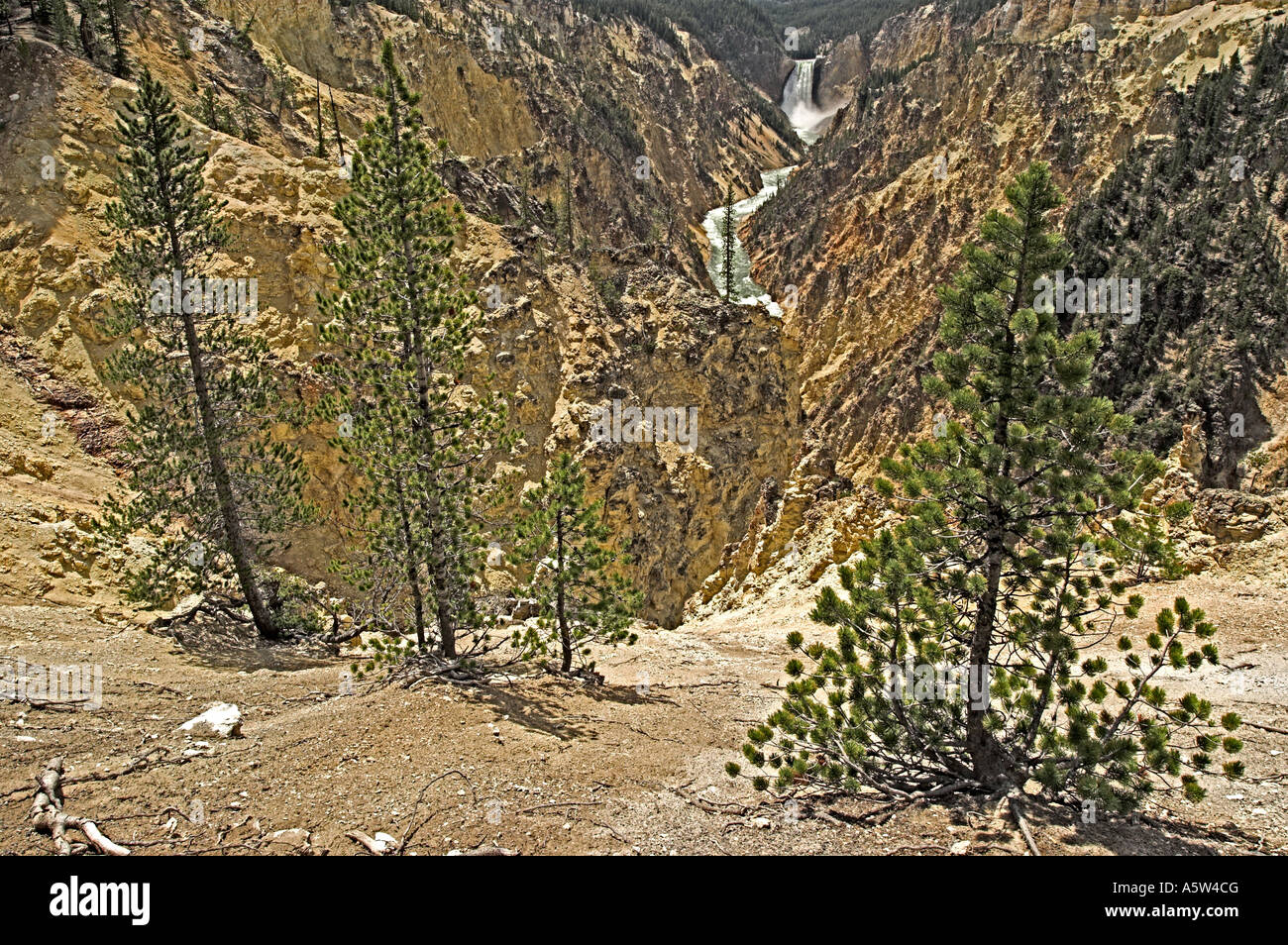 Falls, from Artist Point, Yellowstone Stock Photo - Alamy