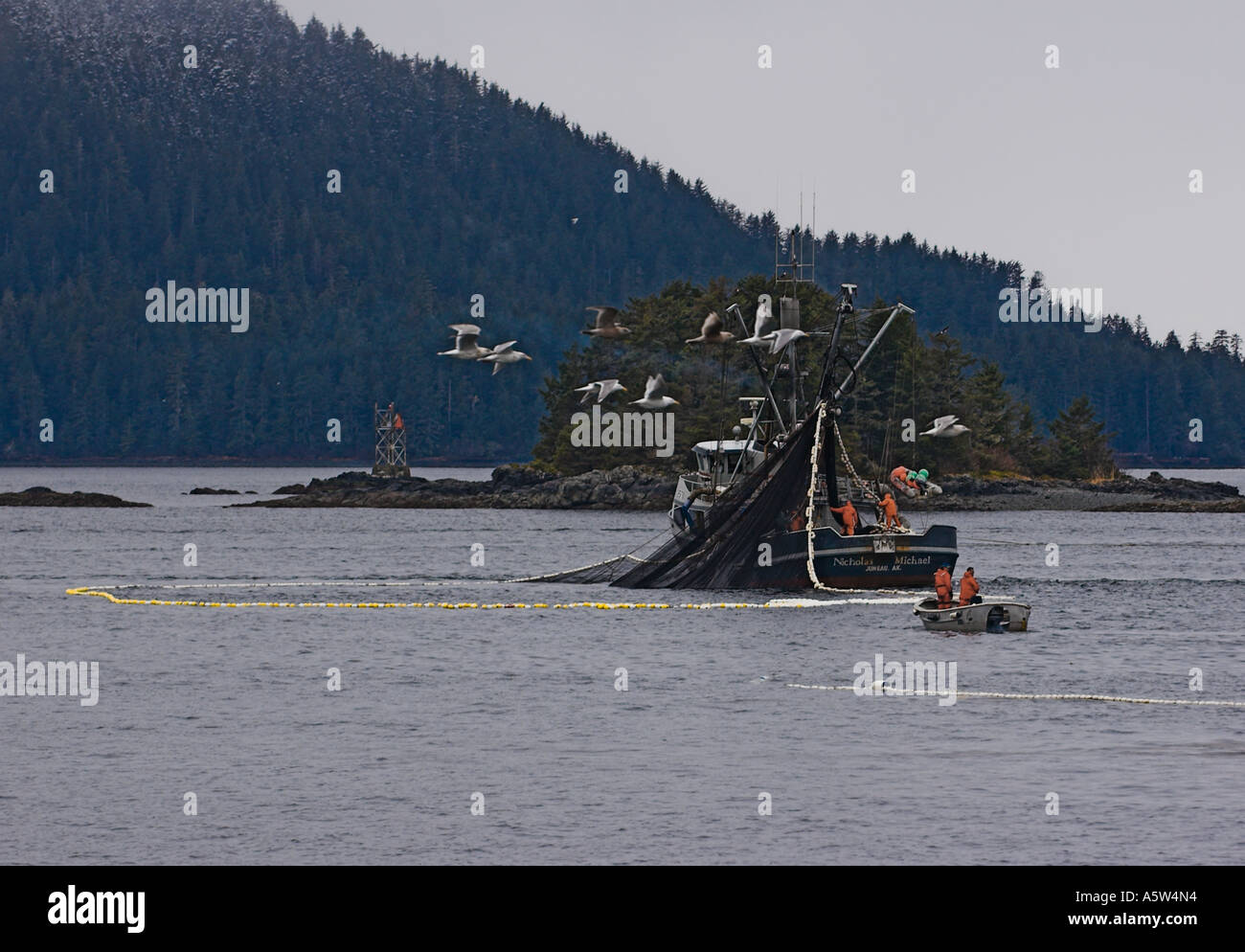 Sitka sac roe herring fishery hi-res stock photography and images - Alamy