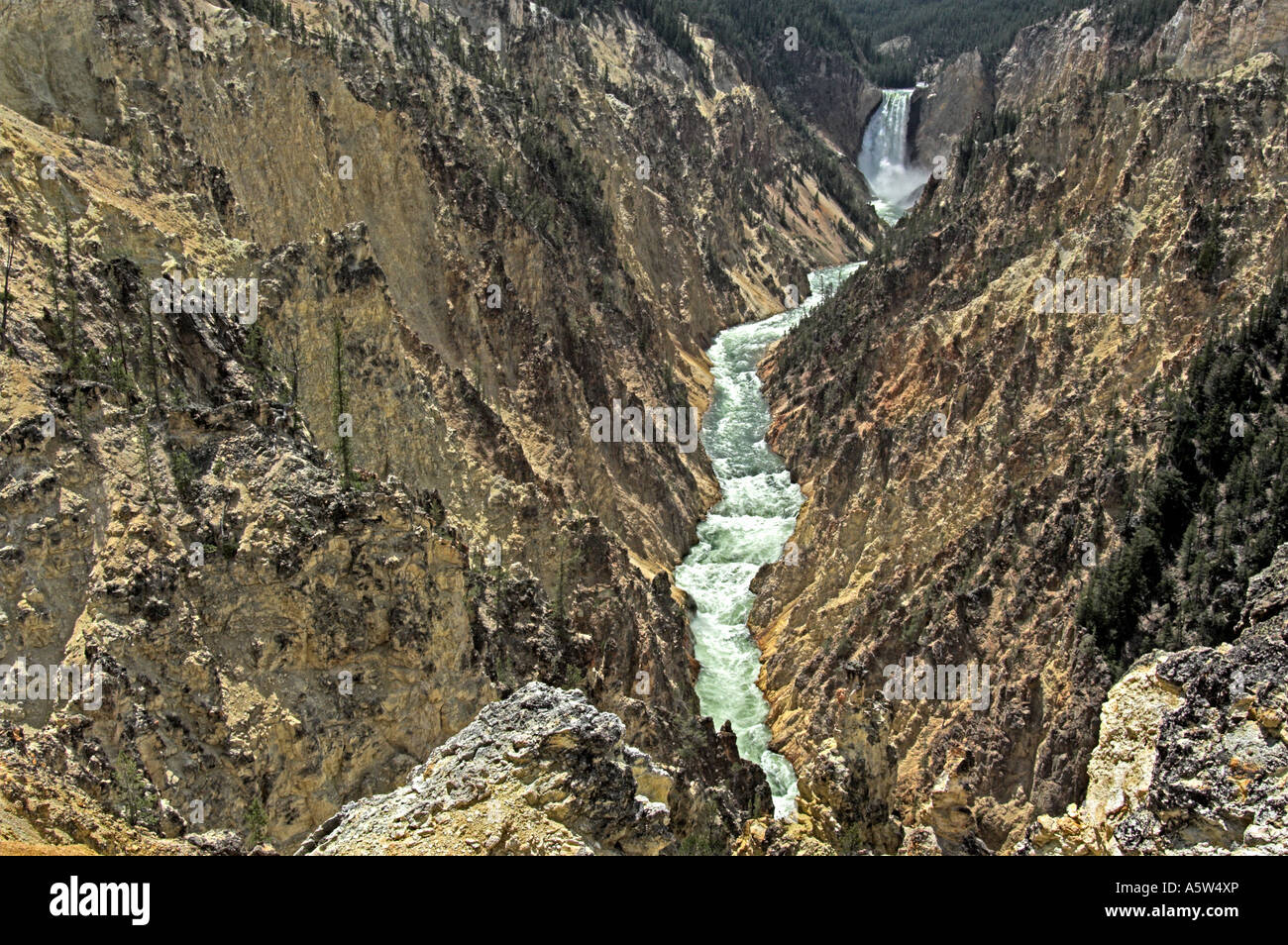 Falls, from Artist Point, Yellowstone Stock Photo - Alamy