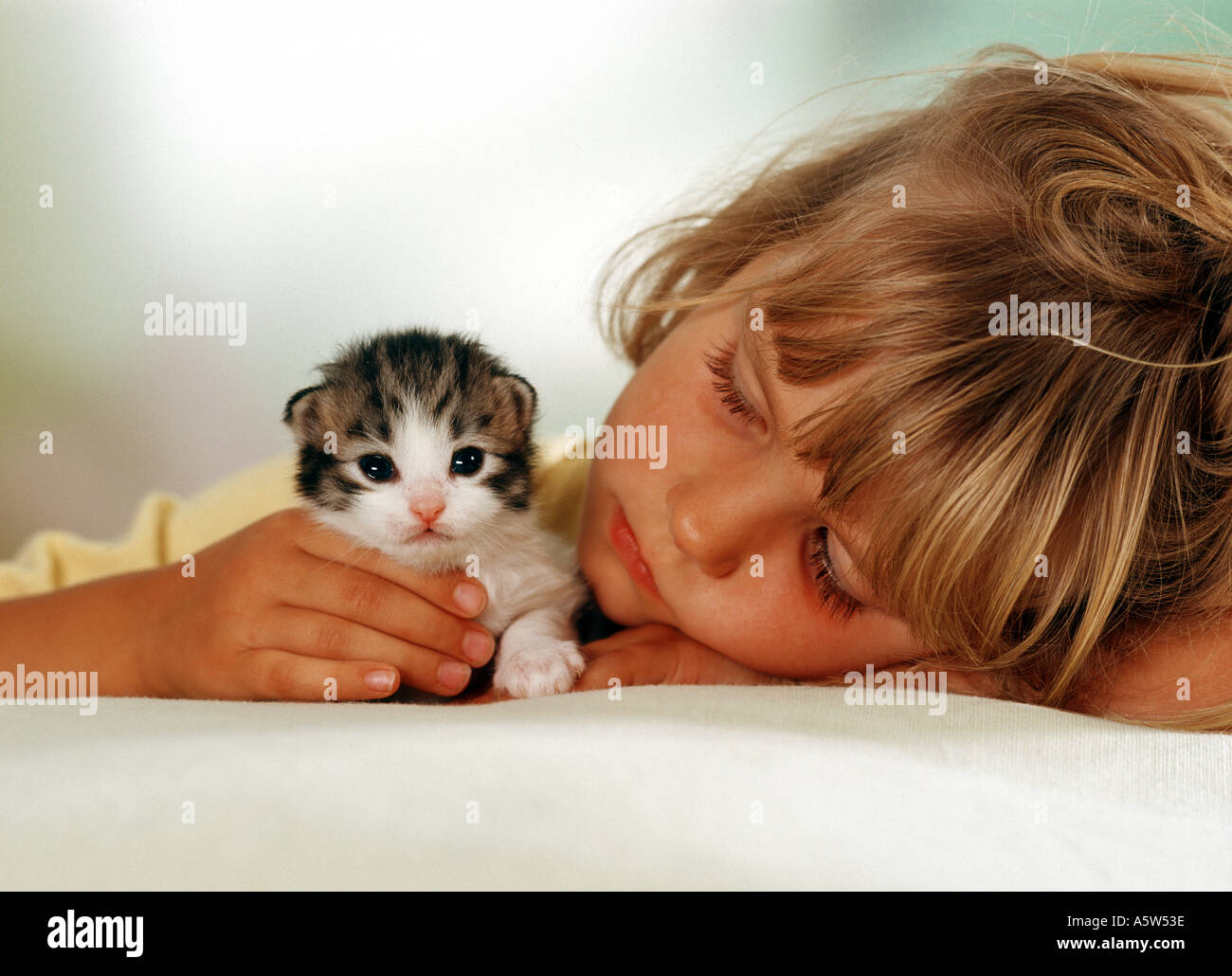 Kitten child stroke hi-res stock photography and images - Alamy