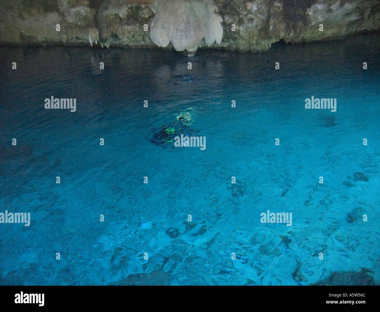Cavern or cenote diving near Tulum Mexico Stock Photo - Alamy