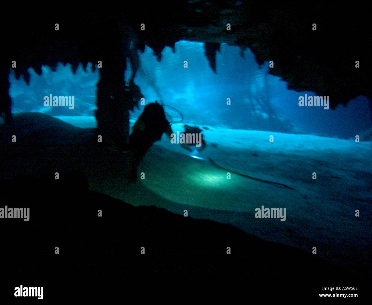 Cavern or cenote diving near Tulum Mexico Stock Photo - Alamy