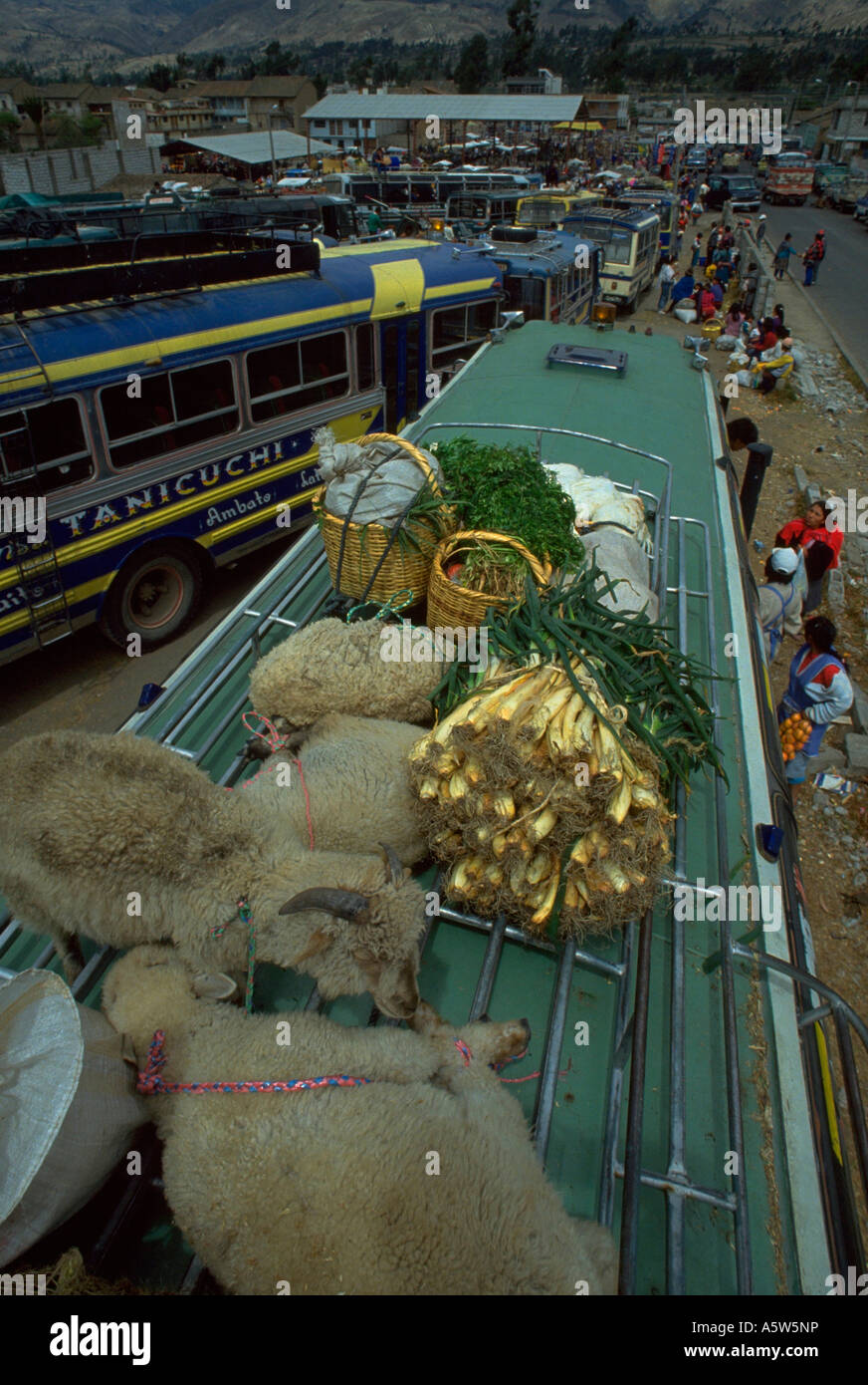 Tied bus hi-res stock photography and images - Alamy