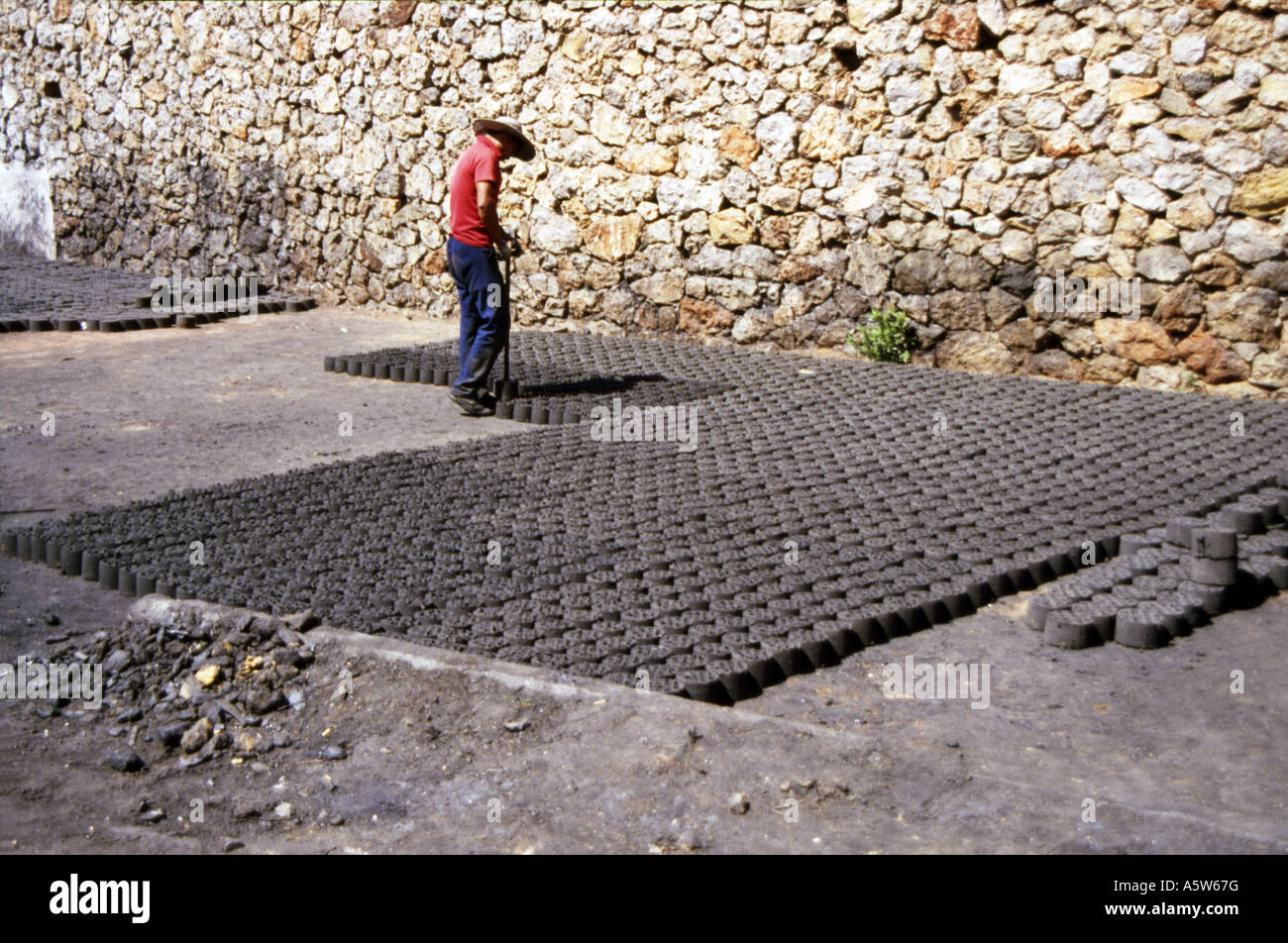 Local factory worker laying solid fuel briquettes out in the sun to dry ...