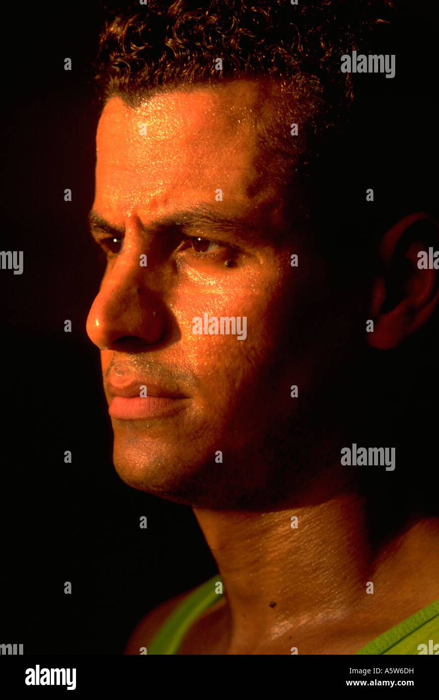 Dispassionate High Resolution Stock Photography and Images - Alamy