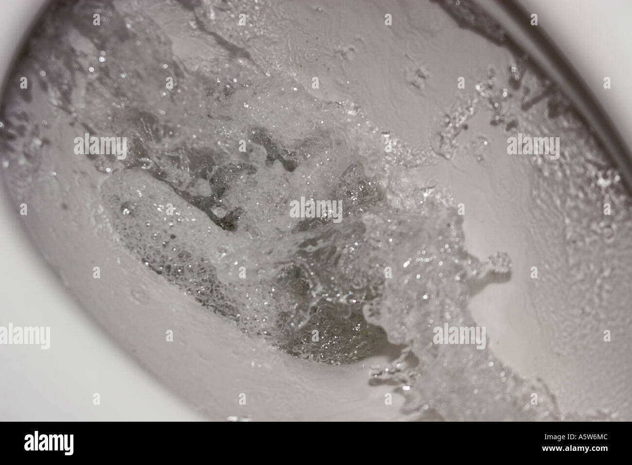 Toilet flushing hi-res stock photography and images - Alamy