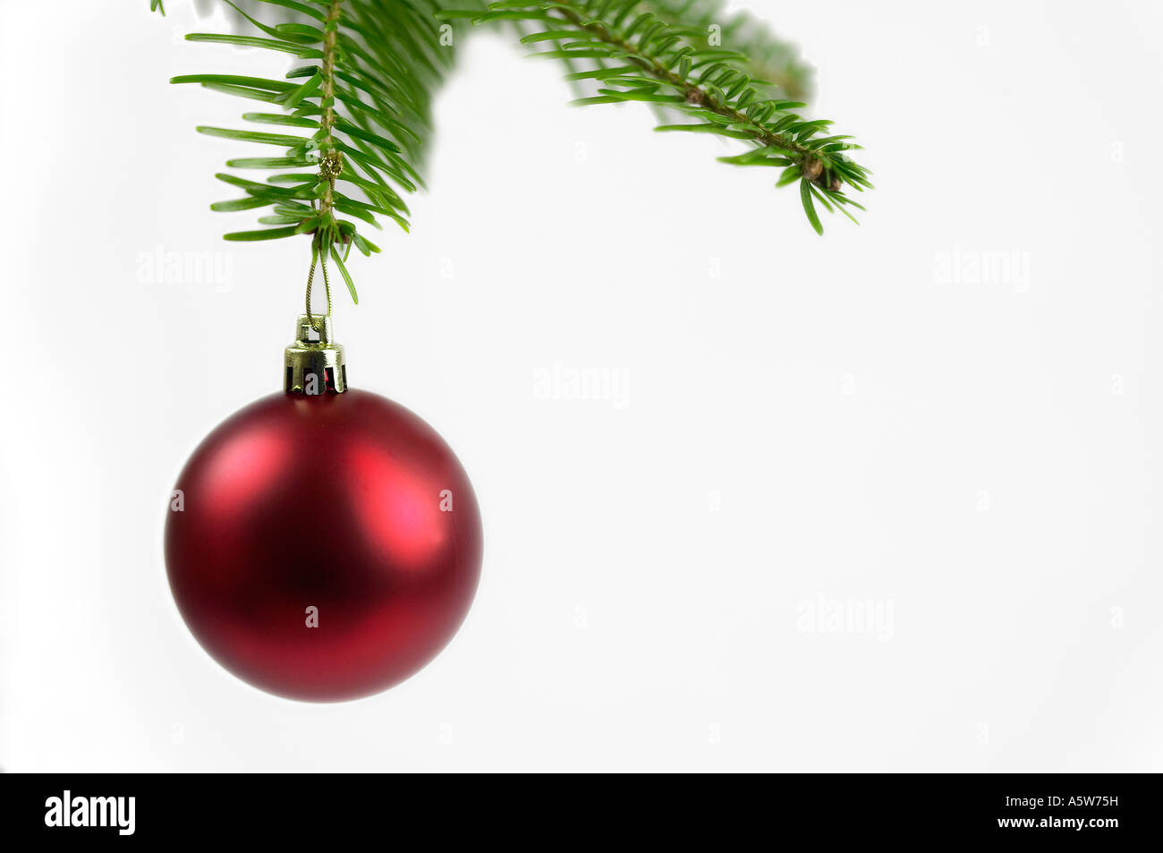 Red bauble dangling from branch of fir tree Stock Photo - Alamy