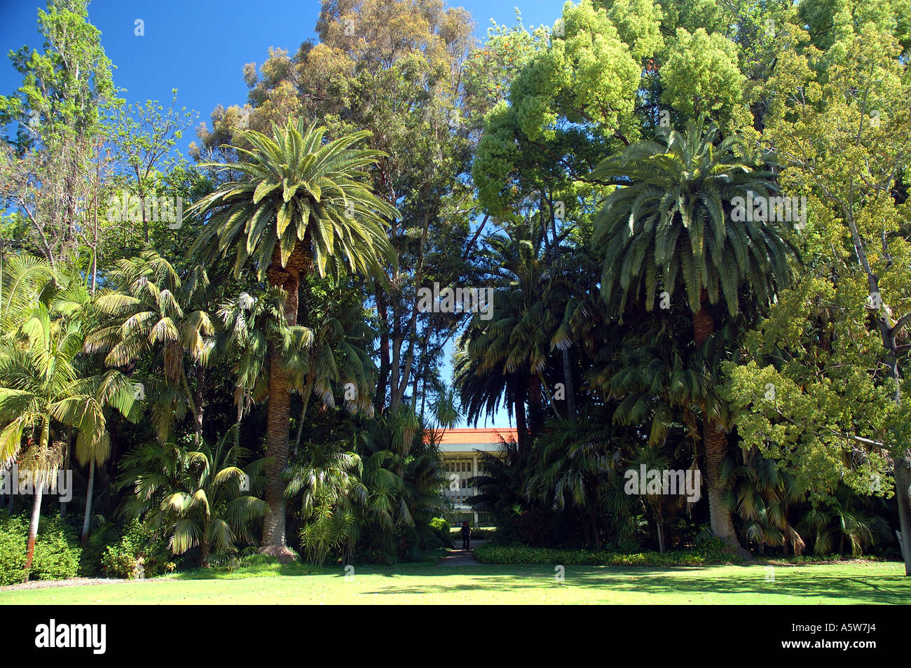 Reid Library on the green leafy campus of the University of Western ...