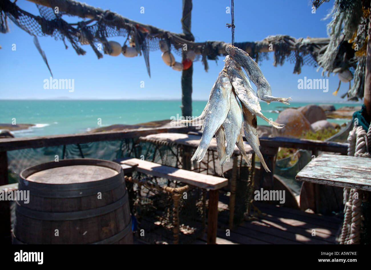 Dried fish a local delicacy called bokkoms hanging in beach bar ...