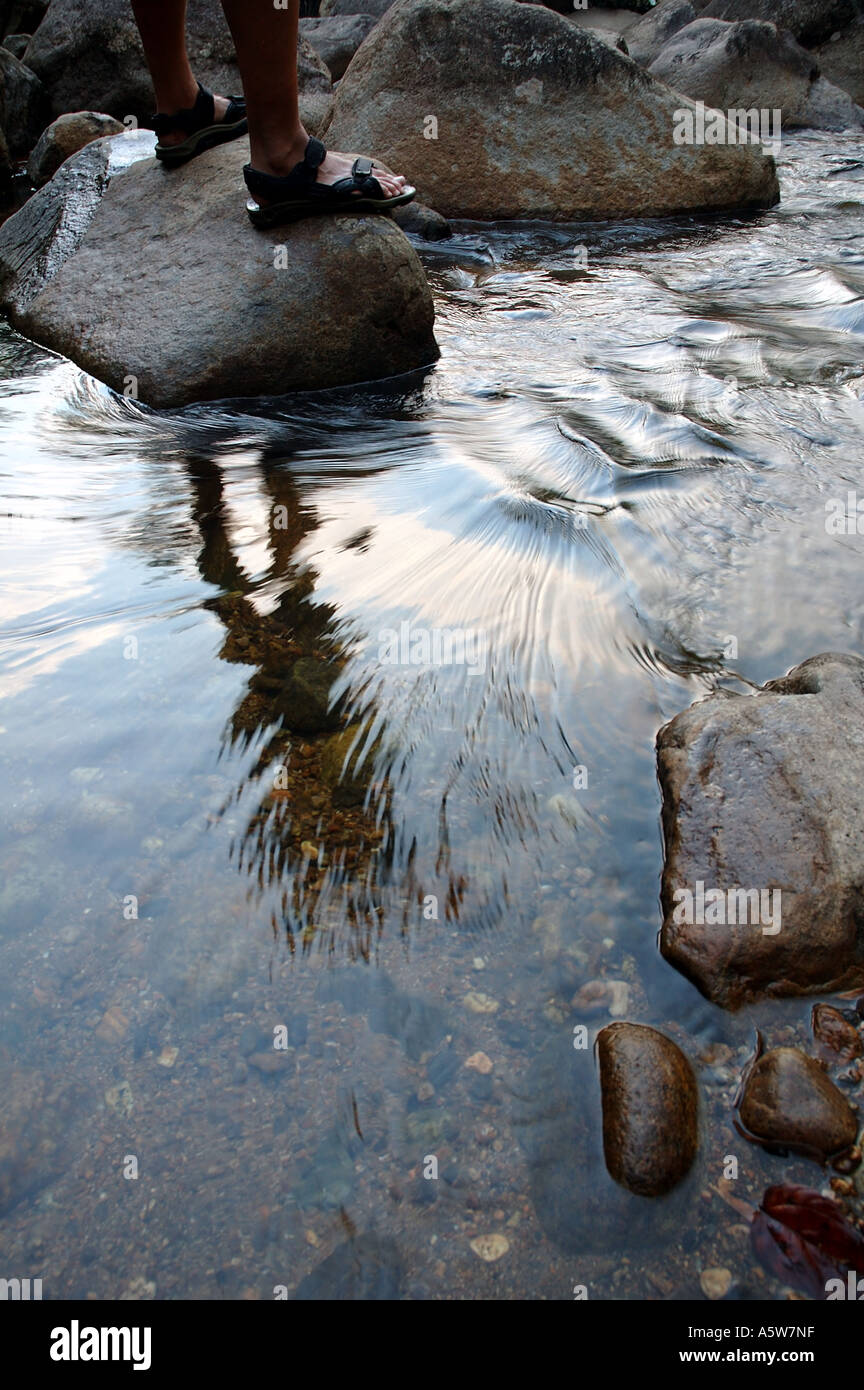 Ecotourist standing on rock in clear stream Stock Photo - Alamy