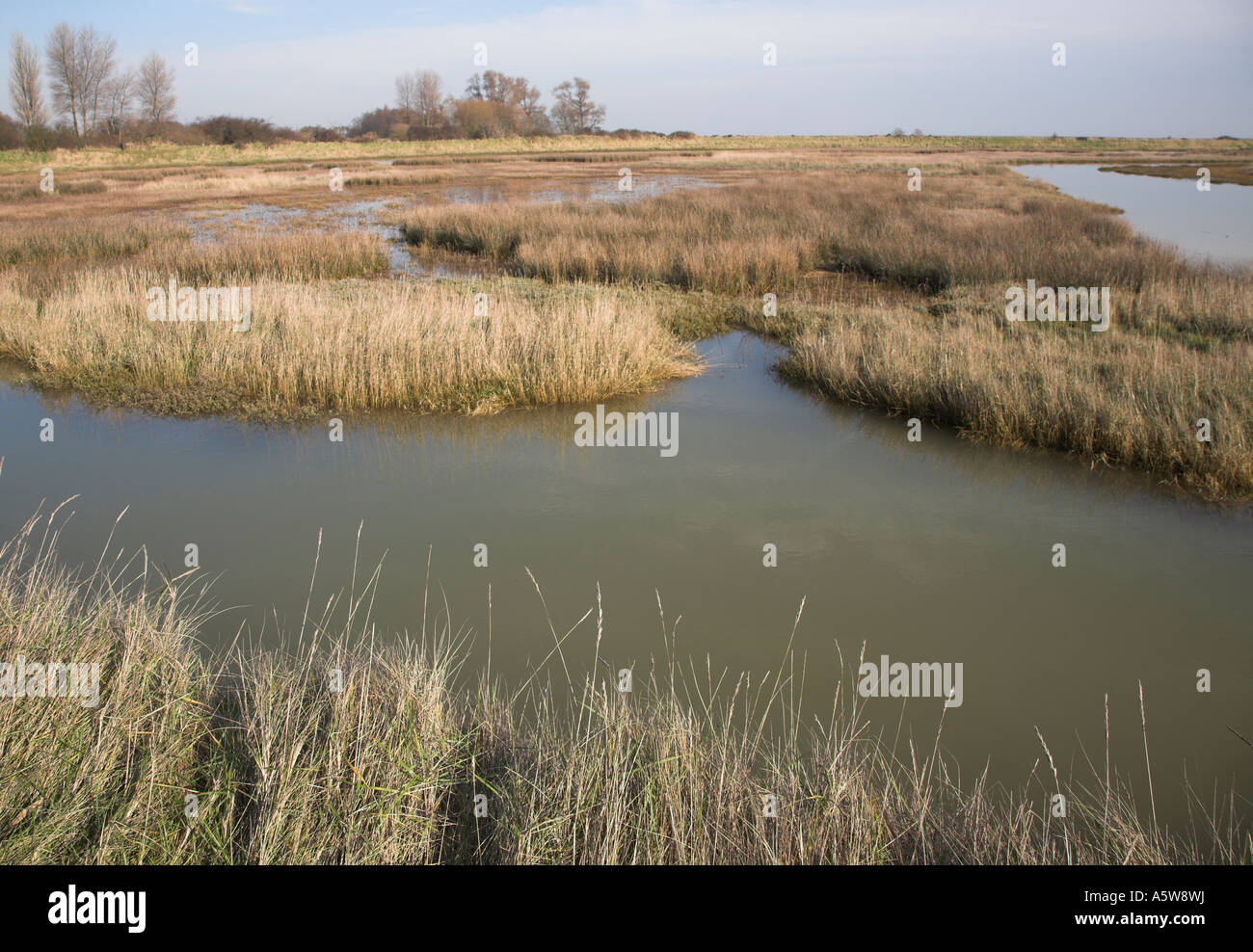Salt marsh creeks hi-res stock photography and images - Alamy