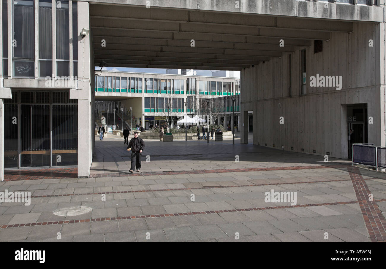 Campus University of Essex, Colchester, England Stock Photo - Alamy