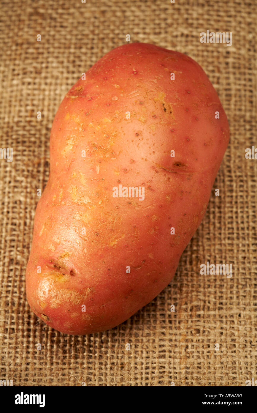 Desiree Potato High Resolution Stock Photography and Images - Alamy