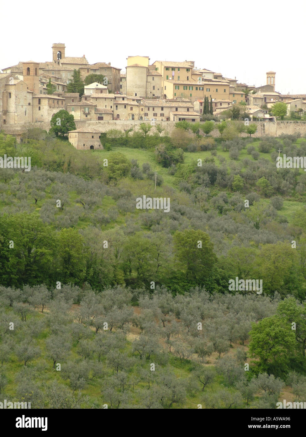 Montefalco village italy hi-res stock photography and images - Alamy