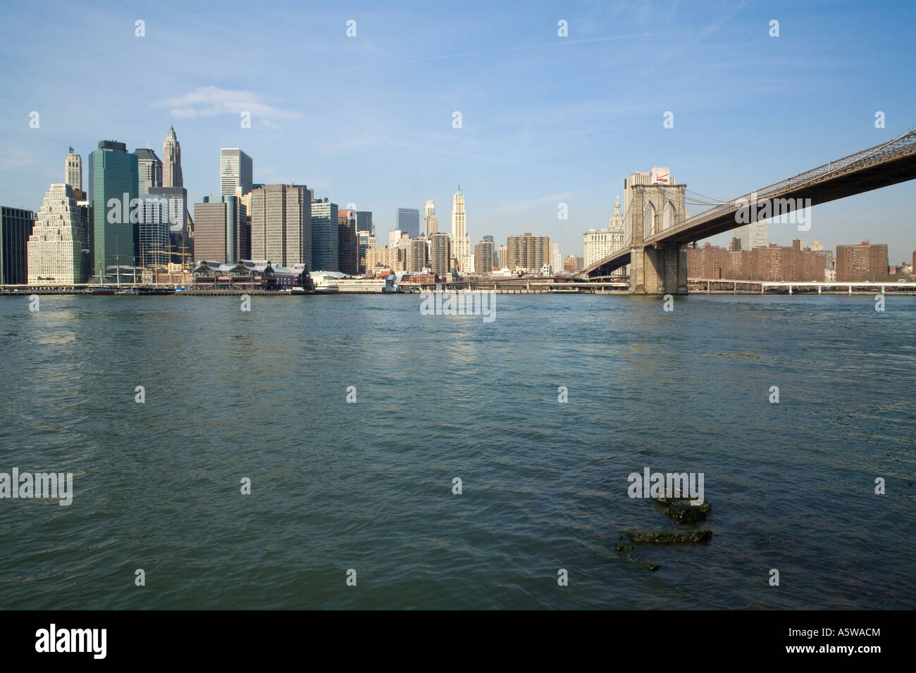 View of Manhattan and Brooklyn Bridge from Brooklyn in New York City ...