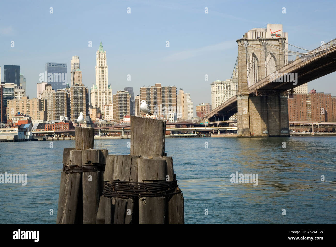 View of Manhattan and Brooklyn Bridge from Brooklyn in New York City ...