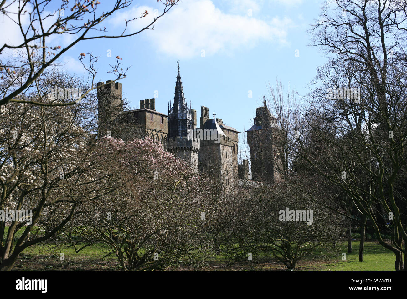 Cardiff castle Bute park couple sitting trees Spring time public space ...