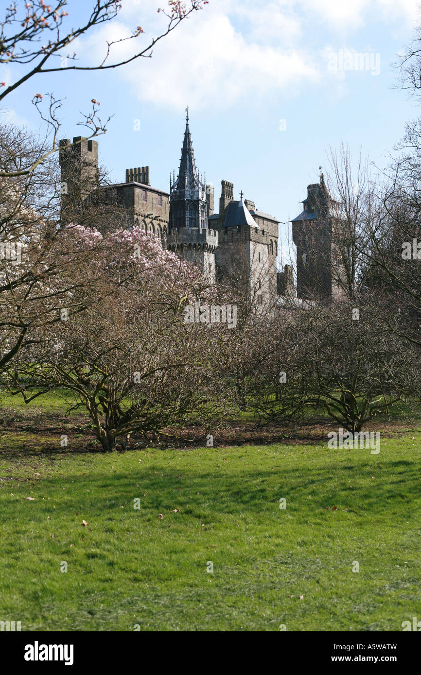 Cardiff castle and bute park looking through the trees with spring ...