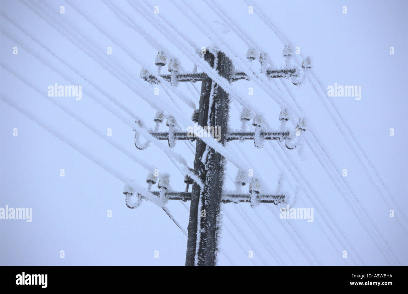 Pole and telecommunication wire lines in wintertime frost Stock Photo ...