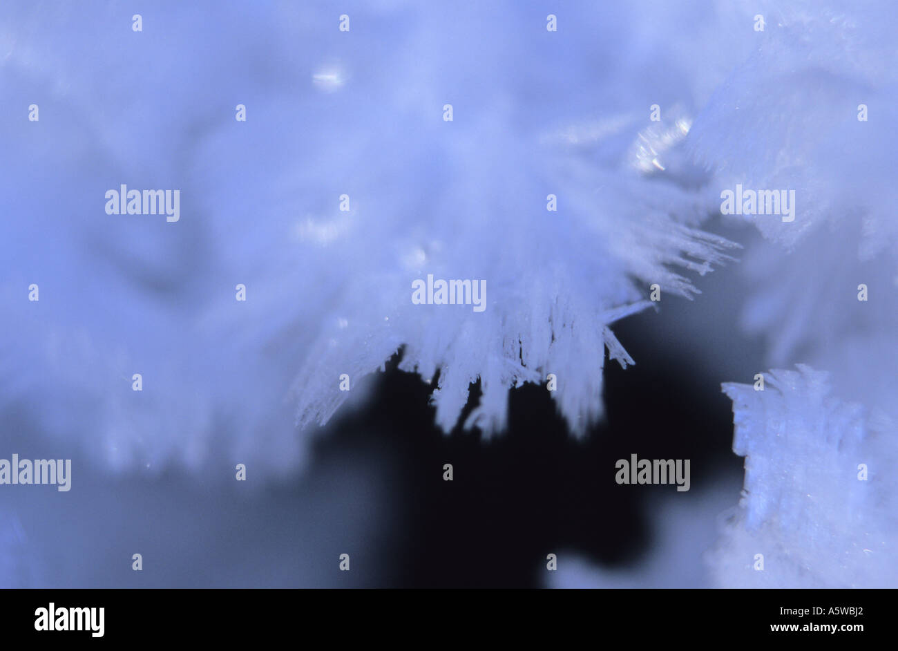 Arctic frost crystals, horizontal hi-res stock photography and images ...