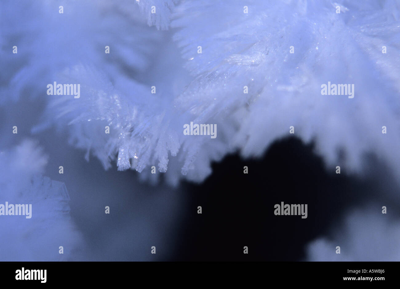Ice crystal formations in close-up Stock Photo - Alamy