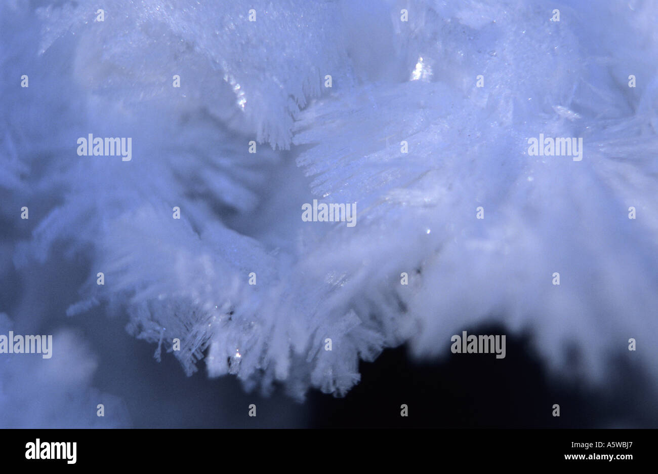 Arctic frost crystals, horizontal hi-res stock photography and images ...