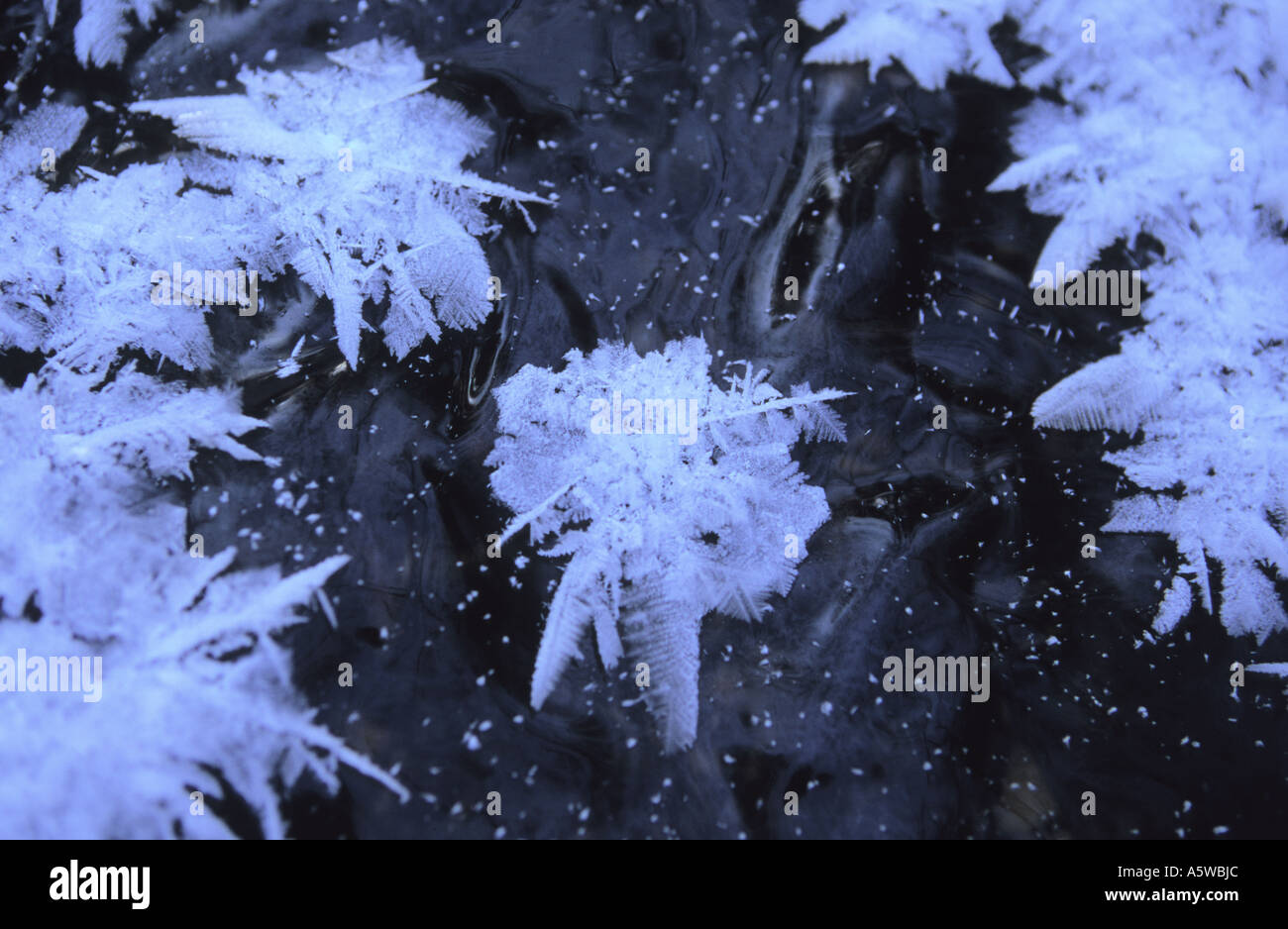 Arctic frost crystals, horizontal hi-res stock photography and images ...