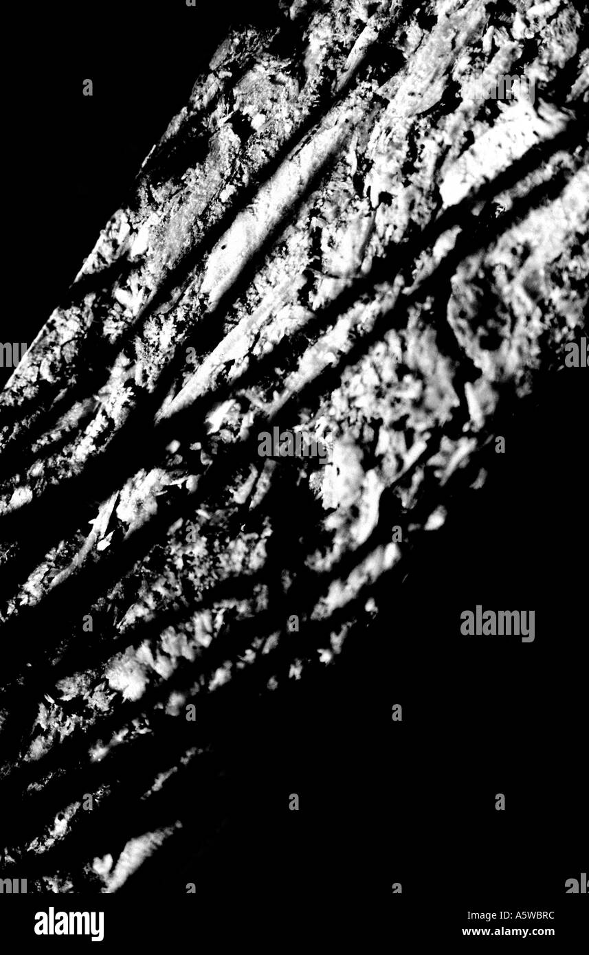 black and white texture Stock Photo - Alamy
