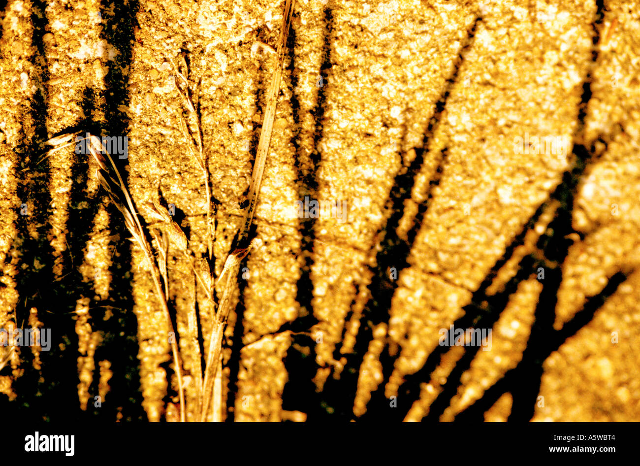 Harsh hi-res stock photography and images - Alamy