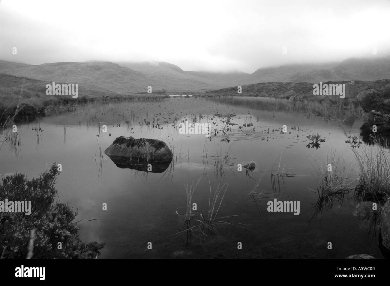 Moor valley Black and White Stock Photos & Images - Alamy