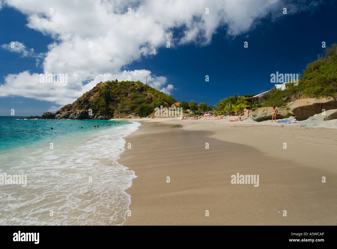 Shell beach St. Barths Stock Photo - Alamy