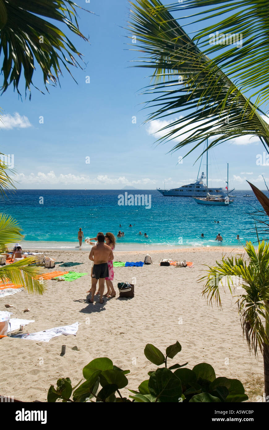 Shell beach St. Barths Stock Photo - Alamy