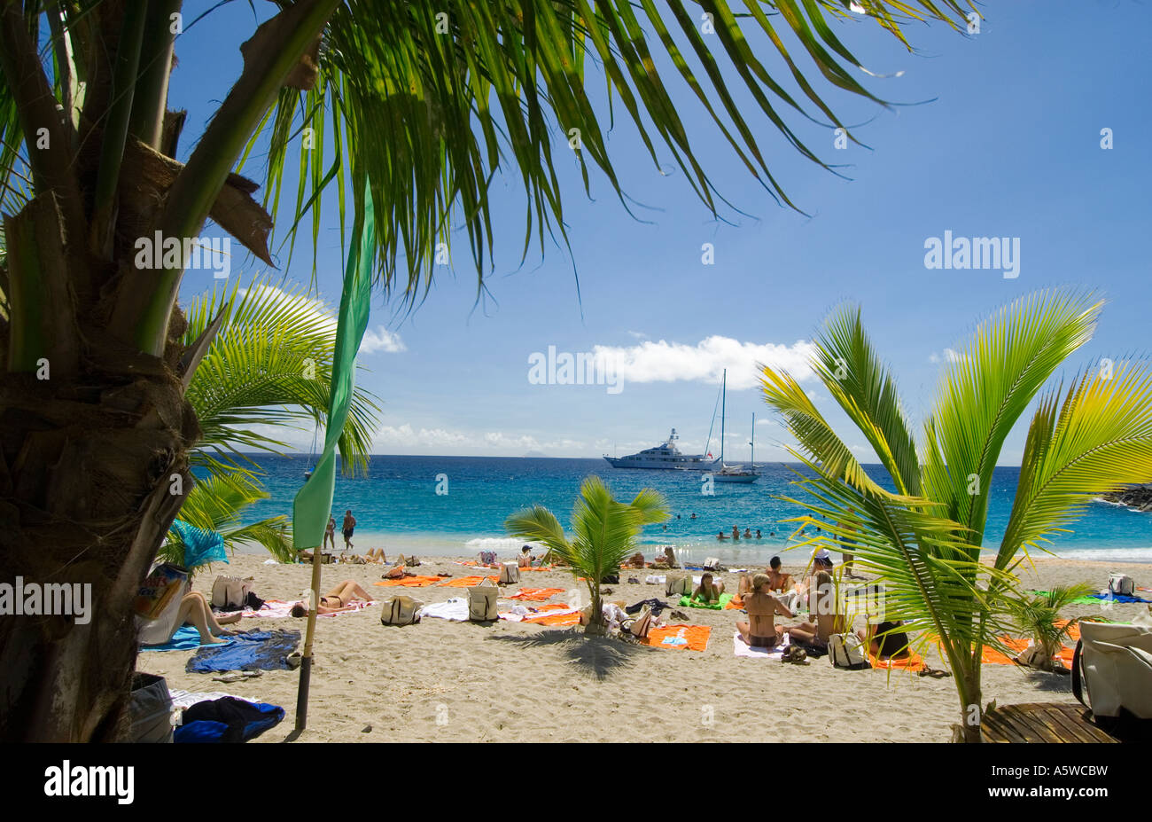 Shell beach St. Barths Stock Photo - Alamy